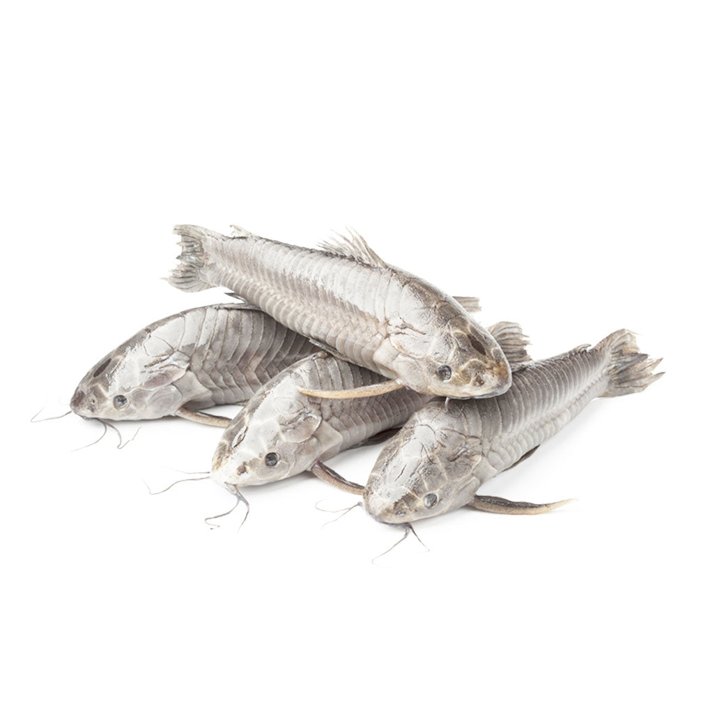 Frozen Hassar – Al Premium Food Mart - Eglinton