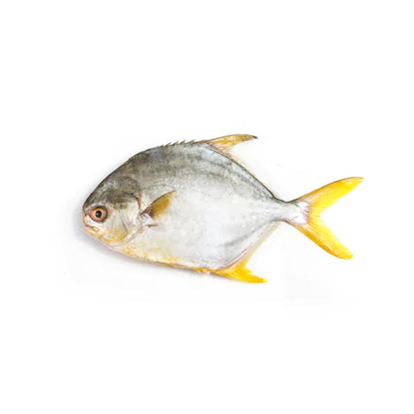 Golden Pompano – Al Premium Food Mart - Eglinton